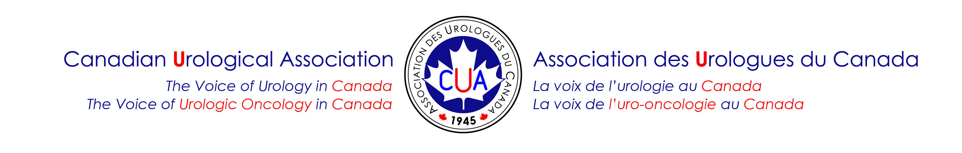 CUA Decision Aid Tool